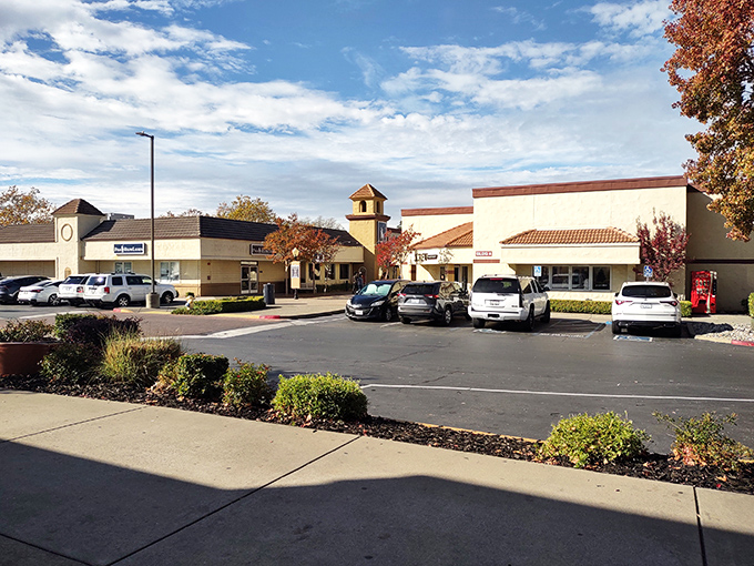 The outlet's thoughtful design includes ample parking that somehow manages to look attractive &ndash; a California miracle rivaling the discovery of gold.