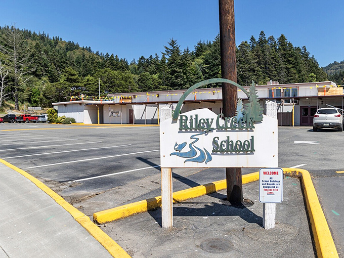 Riley Creek School: where lucky kids learn math with the sound of waves as background music and marine biology happens during recess.