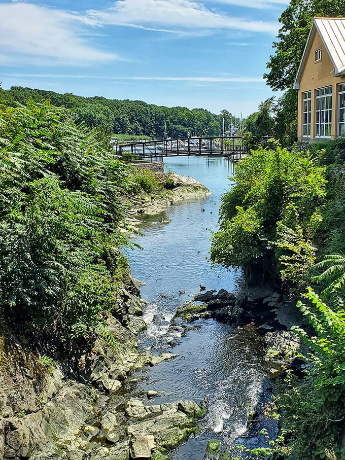 Hidden waterways carve through Milford's landscape. Around every corner, another peaceful scene worthy of a watercolor painting awaits.