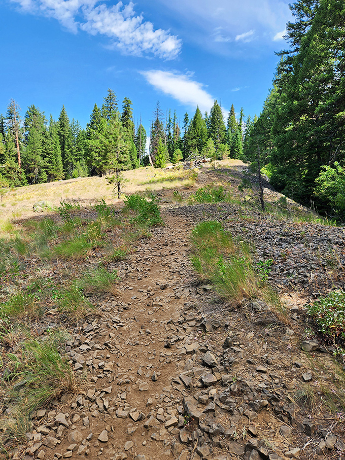 Rocky trails wind upward through forests, promising elevated views for anyone willing to earn their scenic reward the old-fashioned way.