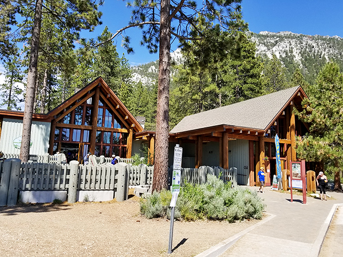 The visitor center blends seamlessly into its surroundings, like a cozy mountain lodge that just happens to have trail maps.