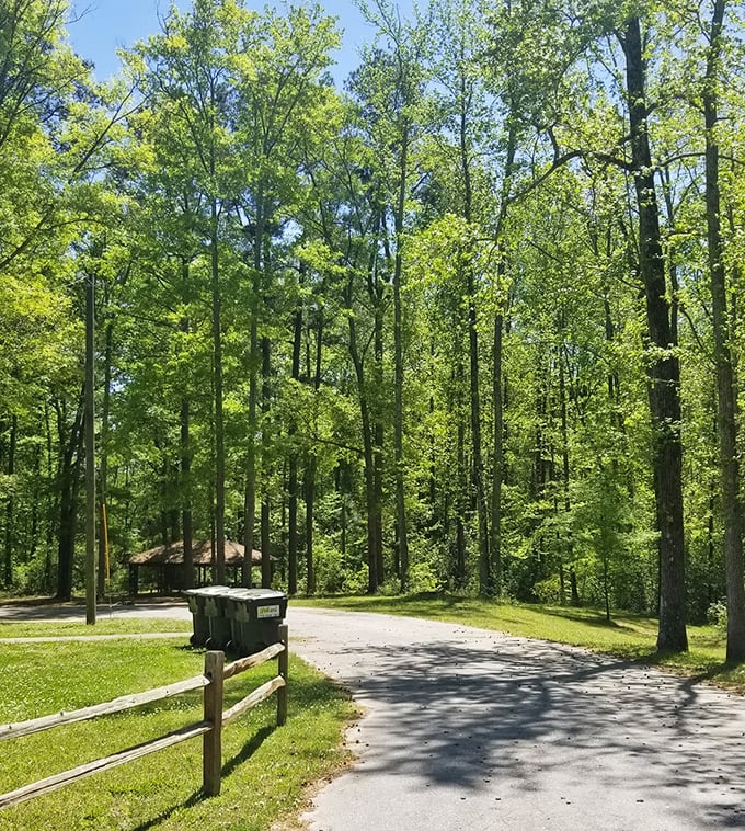 Seavy Street Park's tree-lined path invites contemplative strolls where the only interruption might be a friendly "hello" from a passing jogger.