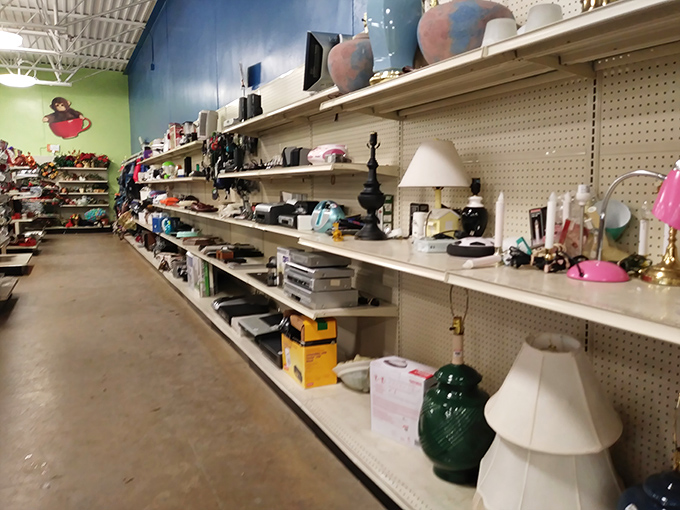 The electronics aisle&mdash;where yesterday's must-have gadgets wait patiently for their tech-savvy second chance.