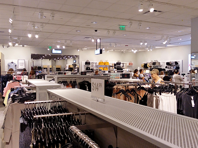 The natural habitat of the savvy shopper: racks of possibilities, signs promising discounts, and the focused determination of finding hidden treasures.