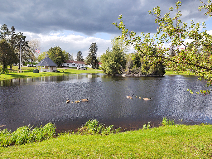 Shues Pond Park offers a slice of serenity where ducks glide across glass-like water, completely unaware they're living everyone's retirement dream.