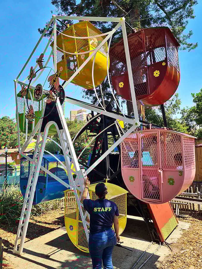 The pint-sized Ferris wheel offers gentle thrills for tiny adventurers not quite ready for the big leagues of amusement rides.
