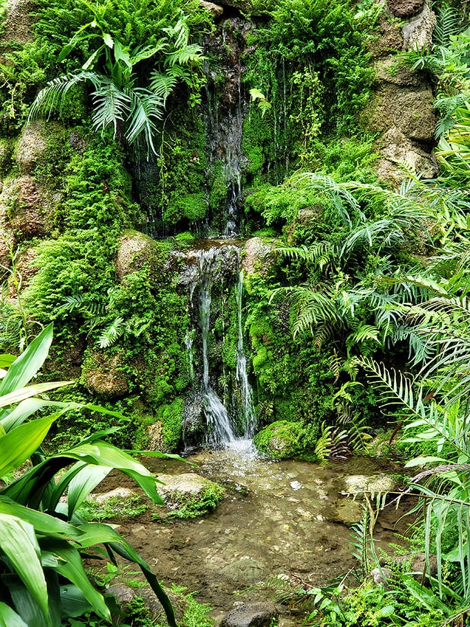 A hidden waterfall creates a lush, verdant grotto straight out of a tropical fantasy. This peaceful corner offers a moment of Zen amid the park's livelier attractions.