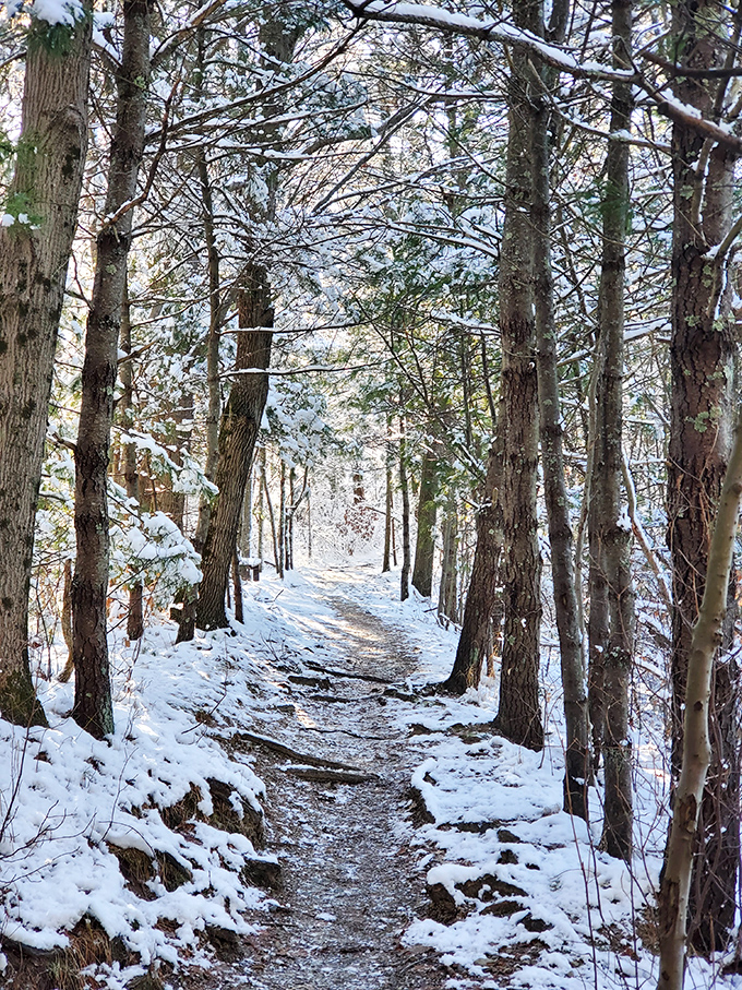 Winter hiking trails at Massasoit&mdash;where the crunch of snow underfoot provides the soundtrack to solitude.