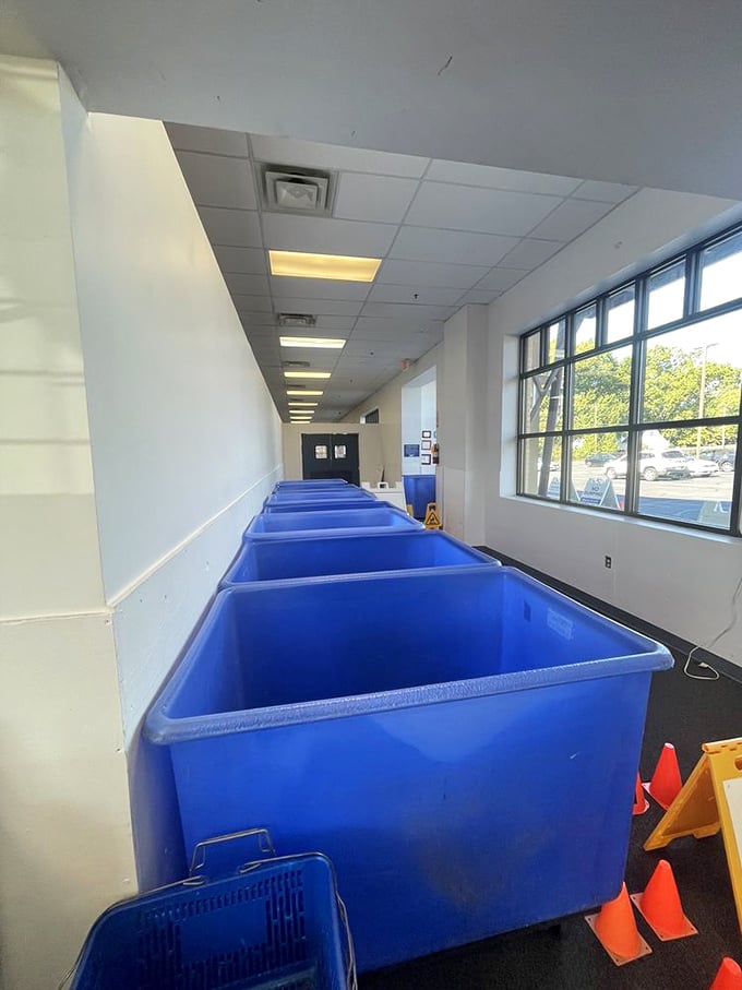 Behind the scenes magic: The blue sorting bins where donations begin their journey toward becoming someone else's treasure.
