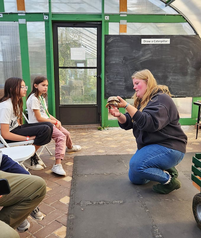 Educational moments that stick! When a turtle presentation captivates young minds, you're witnessing the sprouting of future conservationists.