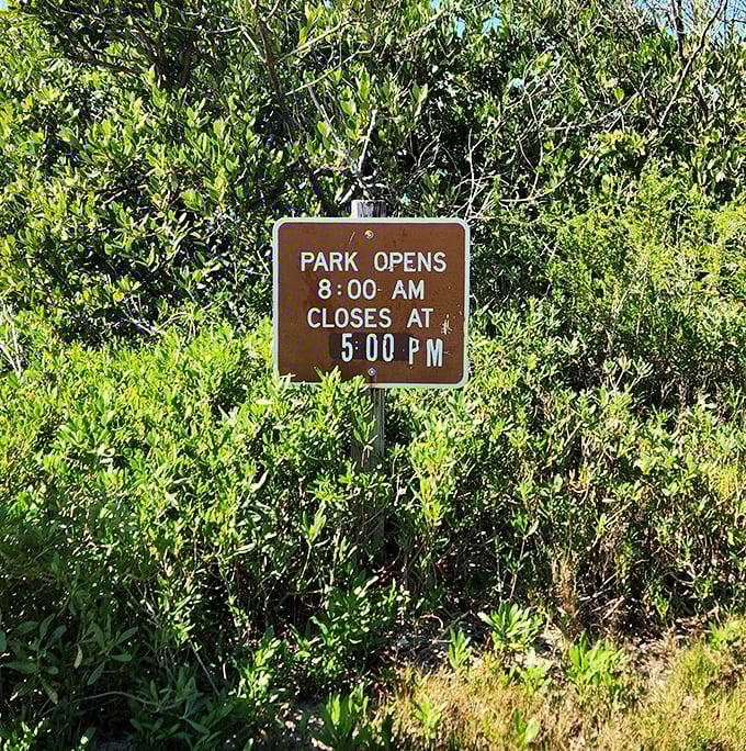 Island time is official – the park's hours remind visitors that even paradise has a schedule.