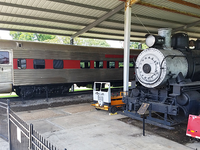 The magnificent steam locomotive stands in silent dignity, its massive drive wheels and gleaming headlamp hinting at the raw power that once thundered across the continent.