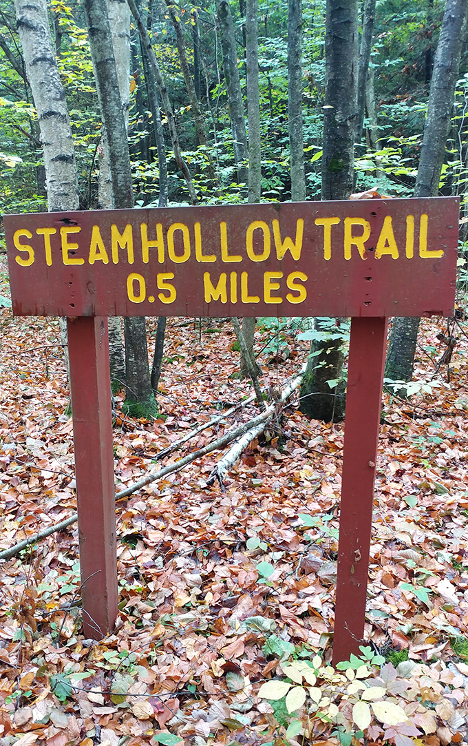 Steamhollow Trail&mdash;just far enough to feel accomplished but short enough that you won't need to pack emergency rations.