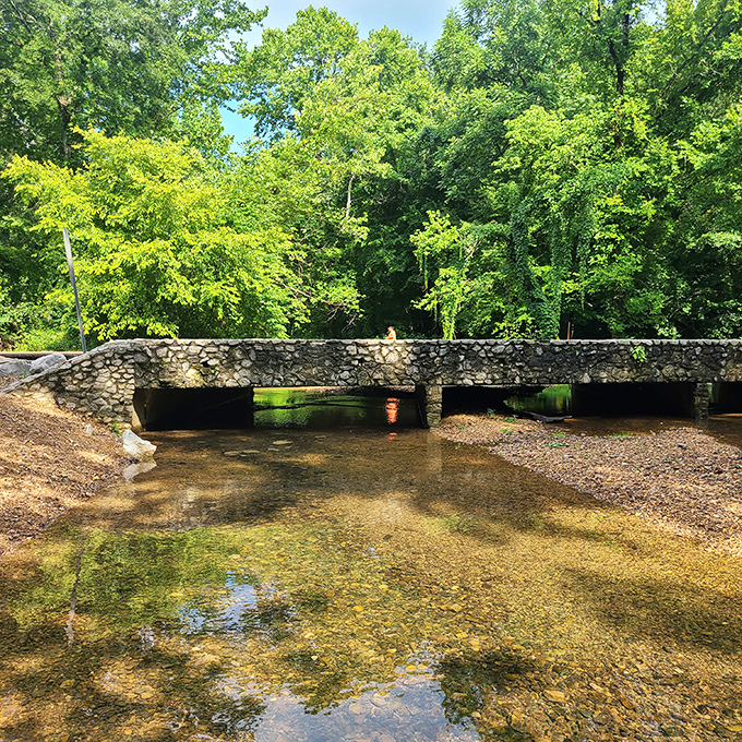 This stone bridge spans a crystal-clear stream, creating a scene so picturesque it belongs on Tennessee's tourism brochures.