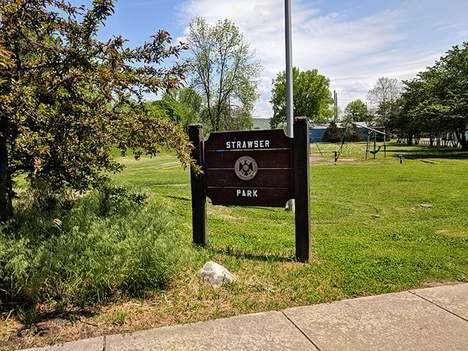 Strawser Park's simple sign marks a neighborhood gathering spot where the admission price is always free and the entertainment depends on who shows up that day.