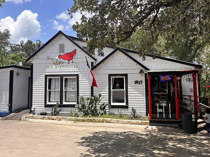 The Birdhouse spreads its wings with whimsical style, a spot where retail therapy meets pure Texas quirk.