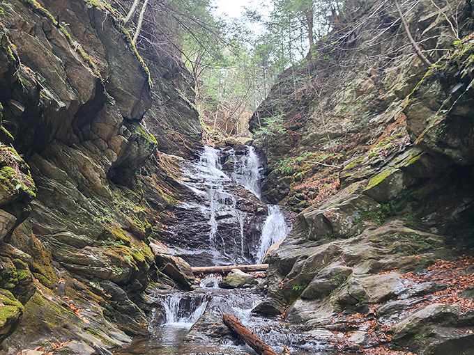 The Cascade's tumbling waters carve through ancient stone, creating nature's own symphony just a short hike from downtown streets.