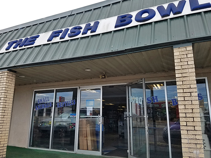The Fish Bowl serves up aquatic delights in a setting more inviting than its namesake.