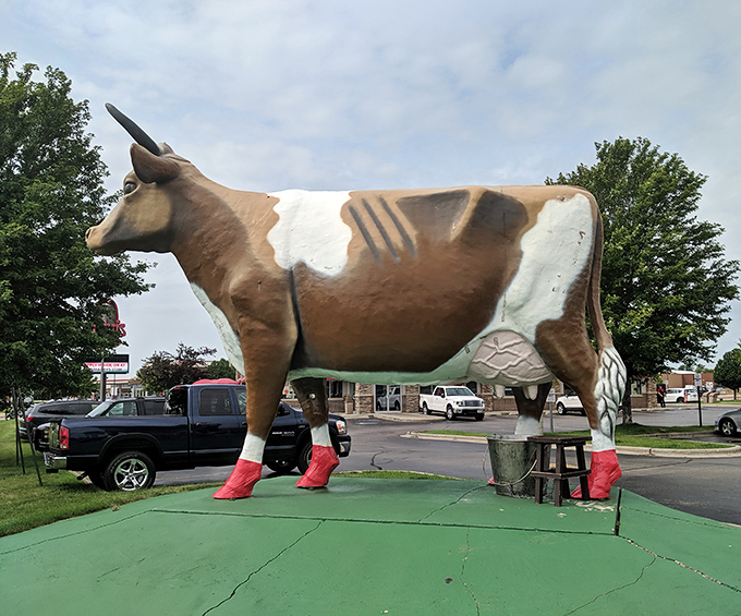 When Bessie occasionally sports festive footwear, it's like seeing the Statue of Liberty in sunglasses &ndash; unexpectedly delightful and slightly rebellious.