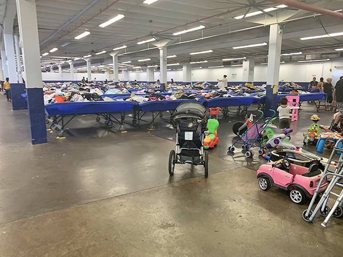 Kid's paradise! From strollers to ride-on toys, growing families find budget-friendly solutions for ever-changing childhood needs.