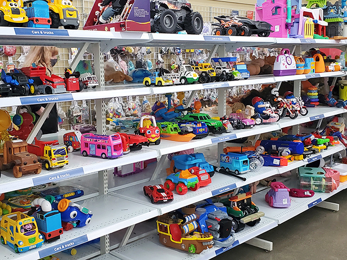 Childhood nostalgia by the truckload. The toy section offers plastic joy for pennies on the dollar, delighting kids and collectors alike.
