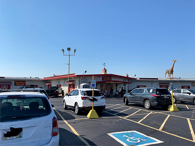The calm before the bargain storm. That giraffe silhouette on the roof isn't just decoration&mdash;it's a beacon for treasure seekers.