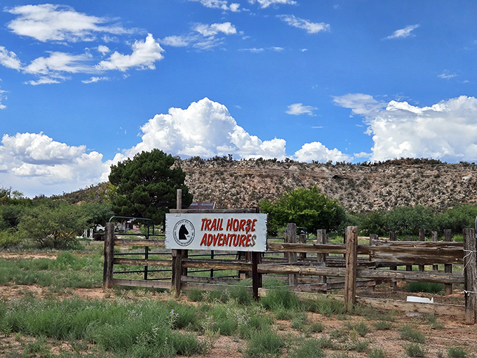 Horseback adventures through desert landscapes where John Wayne movies suddenly make perfect geographical sense to everyone.