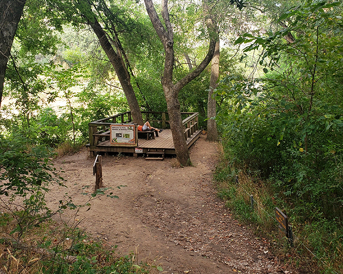 The final approach to the viewing deck builds anticipation for the waterfall spectacular ahead.