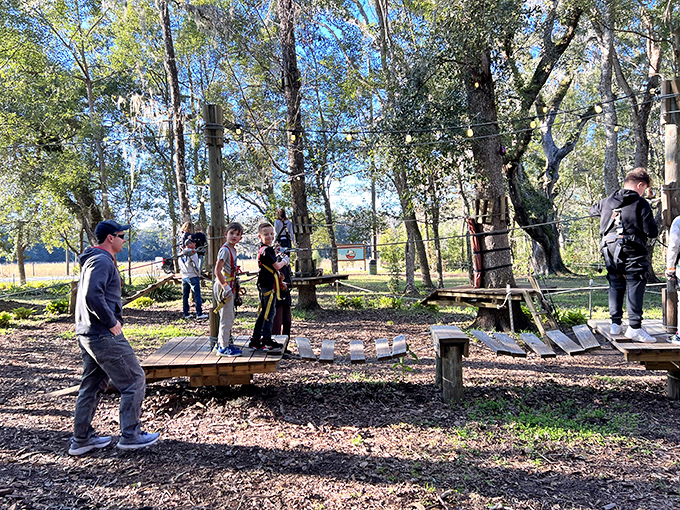 TreeHoppers Aerial Adventure Park challenges visitors to navigate wooden platforms and rope bridges, making "hanging out" a literal adventure.