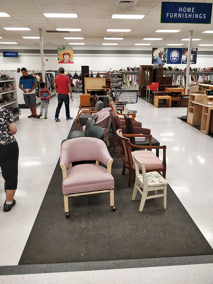The chair gathering looks like a furniture family reunion, with that pink armchair clearly being the cool aunt everyone loves.