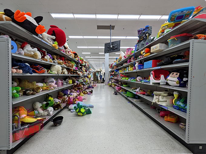 Stuffed animal adoption center where plush friends patiently wait for their forever homes. No feeding required!