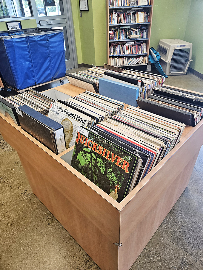 Vinyl heaven in a digital world. These record bins hold analog magic for collectors seeking the warm crackle that Spotify can never replicate.