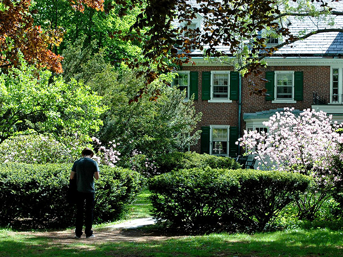 Spring blooms frame a peaceful walking path where the biggest decision is whether to turn left or right.