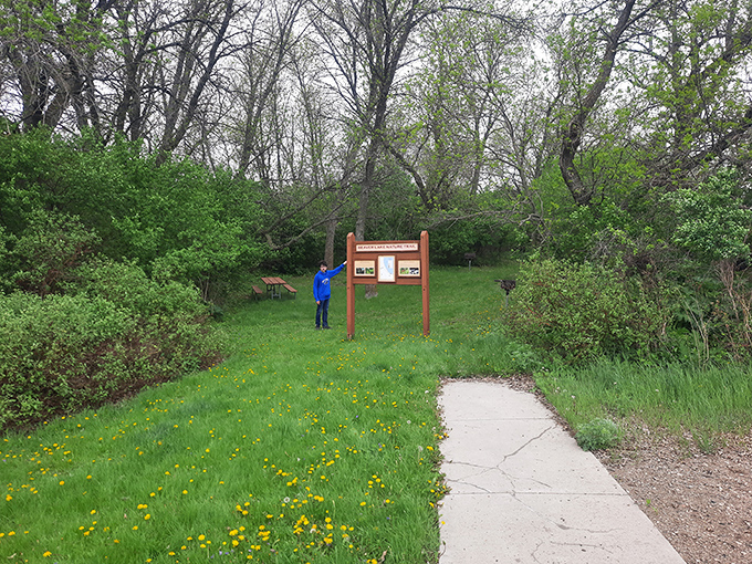 Walking paths invite exploration through meadows dotted with dandelions&mdash;nature's way of sprinkling gold dust along your journey.