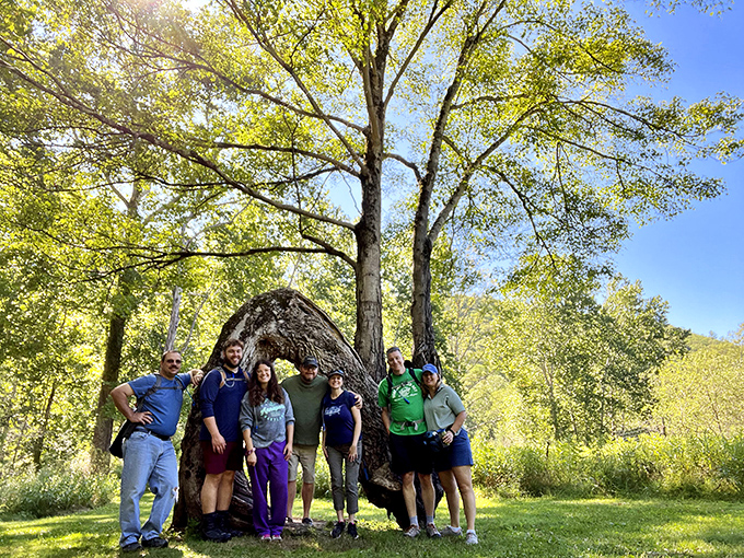 Friends gathering beneath nature's cathedral of branches, creating memories that will outlast even the most impressive Instagram likes.
