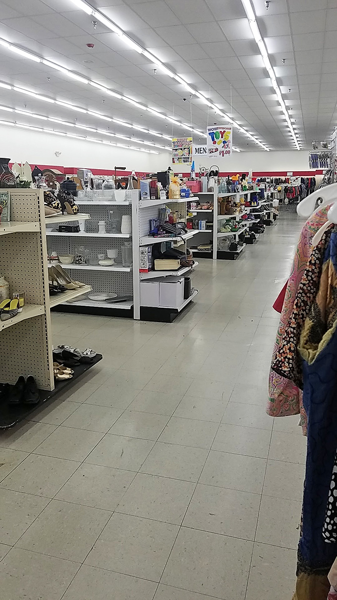 Wide, clean aisles make treasure hunting a pleasure rather than a chore. No claustrophobic digging required in this secondhand paradise.