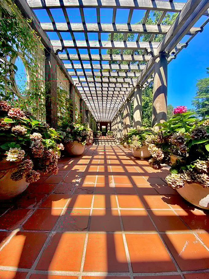 Sunlight plays hide-and-seek through this pergola, creating the perfect runway for your imaginary Vogue photoshoot.