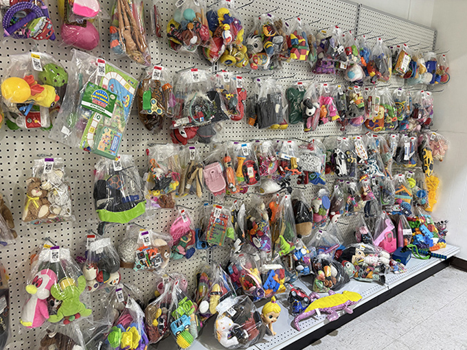 The toy wall: a nostalgic wonderland where childhood memories are bagged, tagged, and ready for a second act.