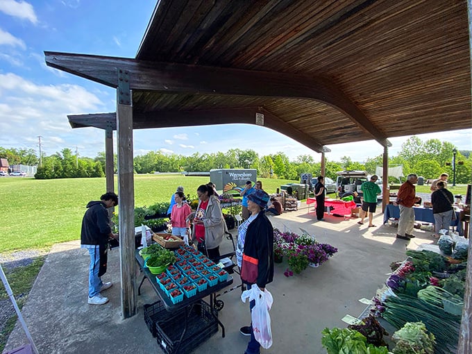 Saturday mornings at the farmers market feel like a neighborhood reunion with really good tomatoes.