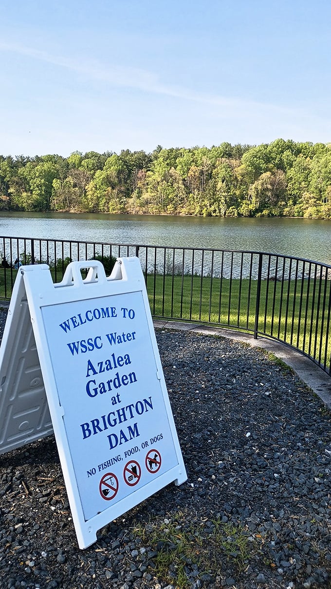 A warm welcome awaits with the tranquil reservoir setting the stage for the botanical performance you're about to experience.