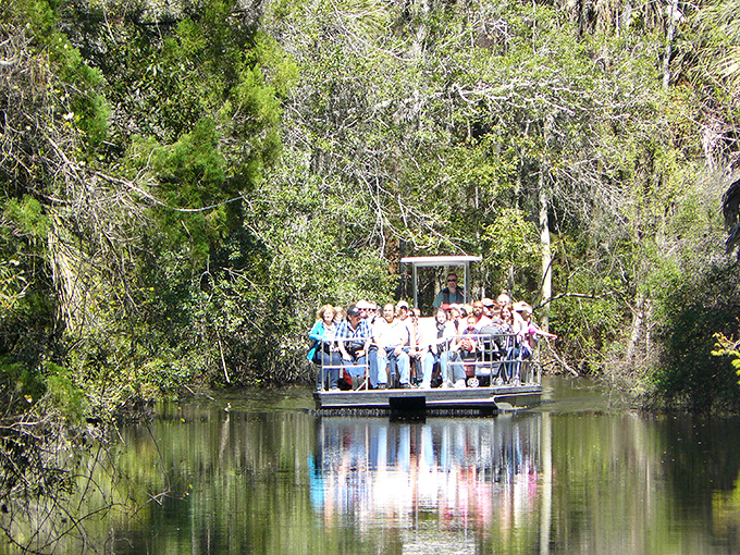The park's boat tour &ndash; where passengers get front-row seats to Florida's wild side without having to worry about what might be swimming below.