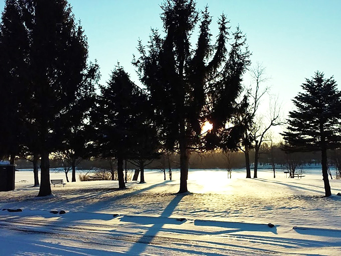 Winter's minimalist makeover turns the picnic area into a snow globe scene.