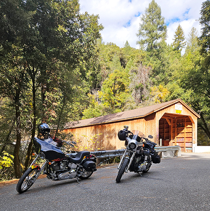 The surrounding forest creates nature's own picture frame &ndash; no Instagram filter could improve on this.