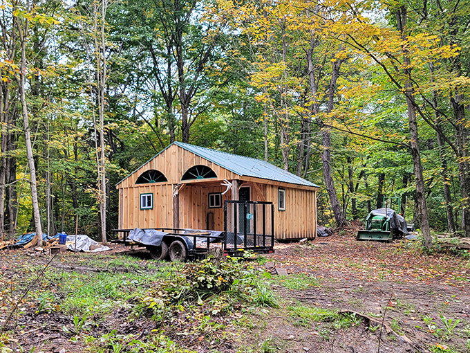 A rustic cabin nestled among autumn leaves. This woodland retreat proves you don't need five stars for a five-star experience.