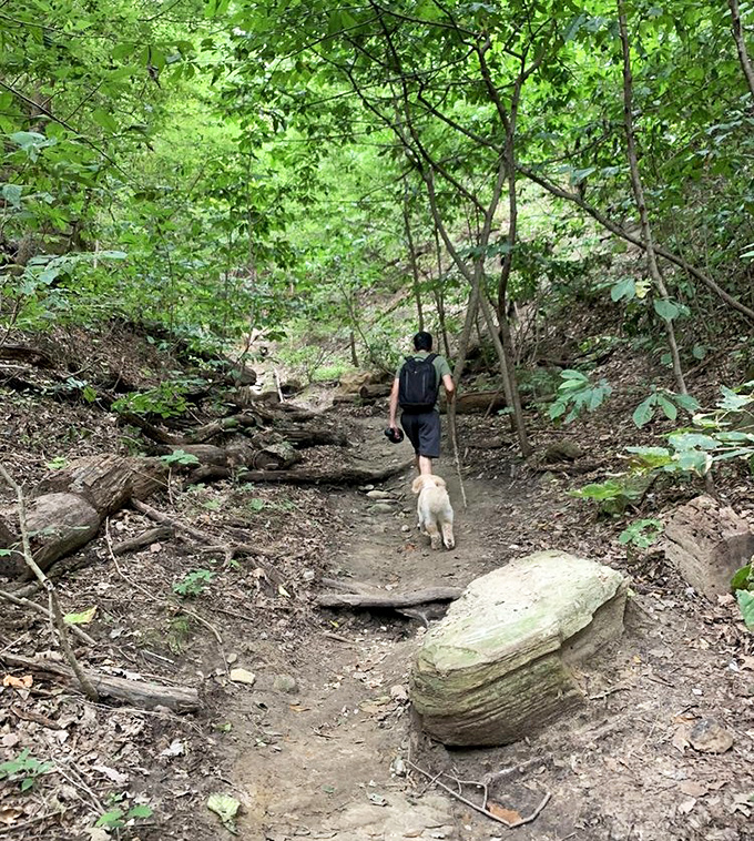 Every great hiking story begins on a humble dirt path like this one, where man and best friend discover what's around the bend together.