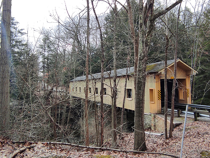 Nestled in the forest like it's been playing hide-and-seek with civilization for a century and winning.