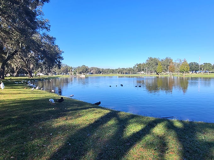 Serene lake waters reflect the Florida sky, creating a double dose of beauty at Zephyr Park&mdash;the perfect spot for cost-free contemplation.