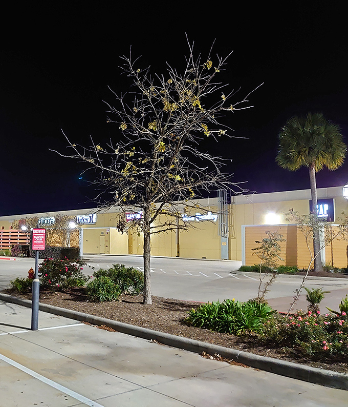Even after dark, the outlet's glow beckons night owls and late shoppers. Those twinkling lights in the trees whisper, "Just one more store&hellip;"