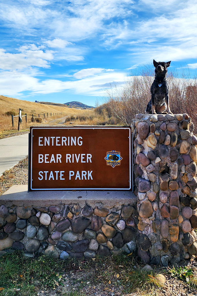 The park's entrance sign comes with its own guard dog statue, standing watch over Wyoming's natural treasures with stone-cold dedication.