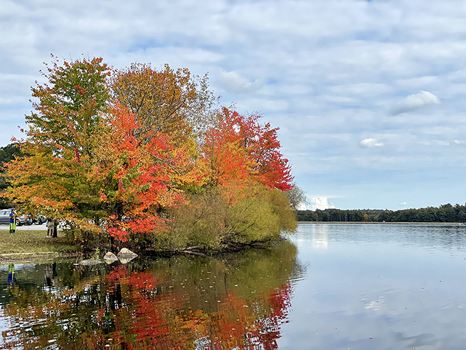 Autumn's fiery reflection doubles the visual impact of fall foliage &ndash; nature's way of saying "Look at me!" before winter's monochrome months arrive.